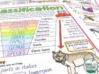 3 Ways to Use Doodle Notes in the Classroom - Emmatheteachie