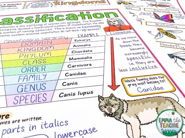 3 Ways to Use Doodle Notes in the Classroom - Emmatheteachie