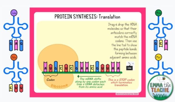 6 Reasons Why I Love Using Google Slides in the Classroom