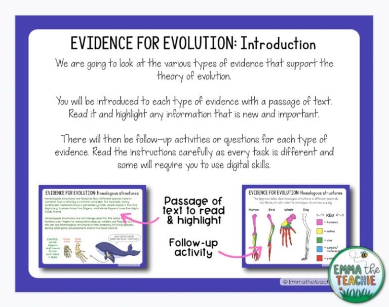 5 Ways to Turn Your Students into Independent Learners - Blog