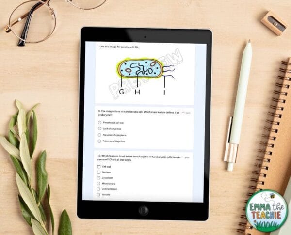 5 Reasons Why You Should Be Using Google Forms Quizzes