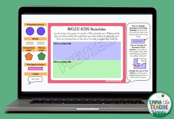 8 Fun Biology Google Slides Activities for Your Lessons - Blog