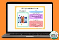 8 Fun Biology Google Slides Activities for Your Lessons - Blog