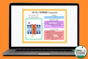8 Fun Biology Google Slides Activities for Your Lessons - Blog