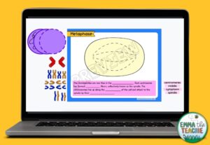 8 Fun Biology Google Slides Activities for Your Lessons - Blog