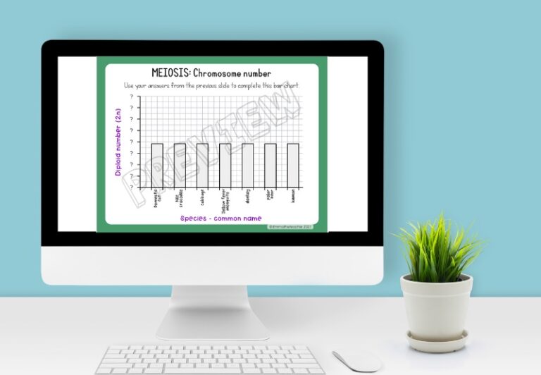 5 Engaging Ways to Teach Meiosis - Emma the Teachie Blog