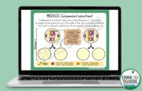 5 Engaging Ways to Teach Meiosis - Emma the Teachie Blog