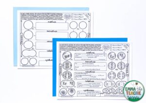 5 Engaging Ways to Teach Meiosis - Emma the Teachie Blog