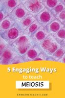 5 Engaging Ways to Teach Meiosis - Emma the Teachie Blog