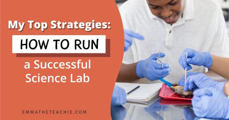 My Top Strategies for How to Run a Successful Science Lab