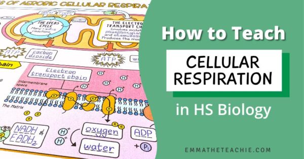 How to Teach Cellular Respiration in High School Biology - Emmatheteachie