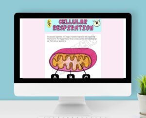 How to Teach Cellular Respiration in High School Biology - Emmatheteachie